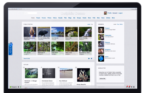 Dolphin Community | DiscoverCloud
